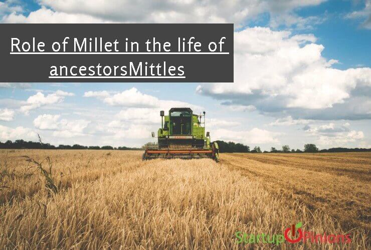 6 Millet Health Benefits and the role in the life of ancestors ...