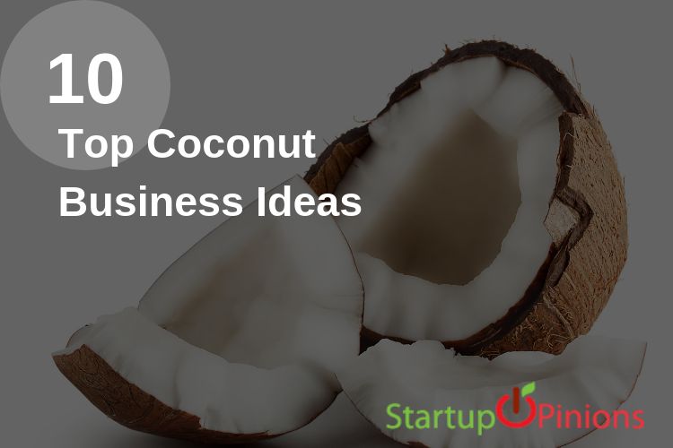 10 Coconut Based Business Ideas with Low Investment - Startup Opinions
