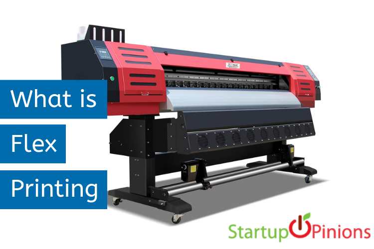 What Is Flex Printing Know Everything About It Startup Opinions