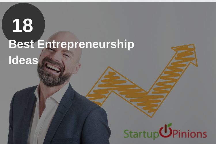 18 Best Entrepreneurship Ideas in India for 2025 - Startup Opinions
