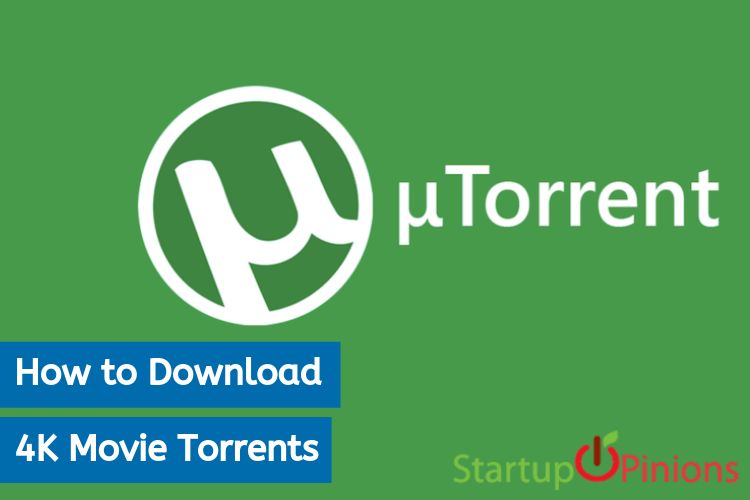 4K Torrent Download Guide: How to Download 4K Movie Torrents - Startup ...