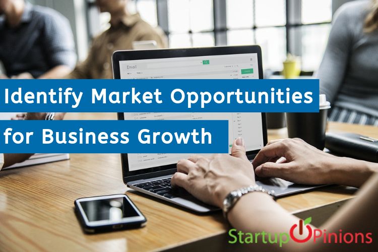 Best Ways to Identify Market Opportunities for Business Growth ...