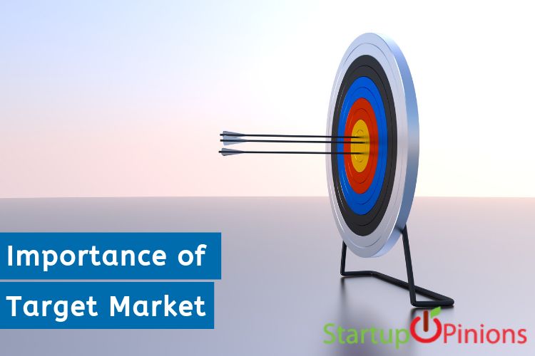 Why Is Identifying the Target Market so Important? - Startup Opinions